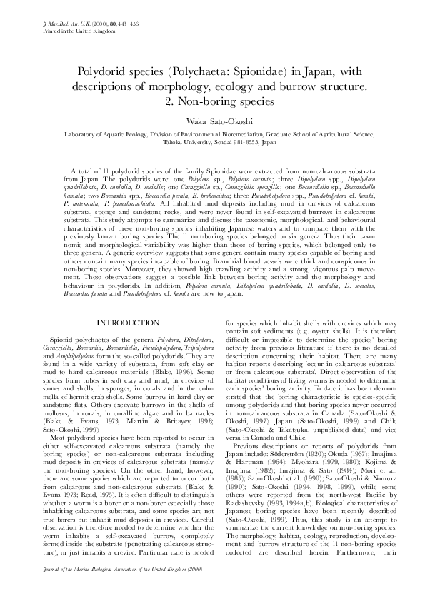 (PDF) Polydorid species (Polychaeta: Spionidae) in Japan, with ...