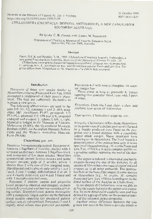 Chelanthura (Crustacea: Isopoda: Anthuridae), a new genus from southern ...