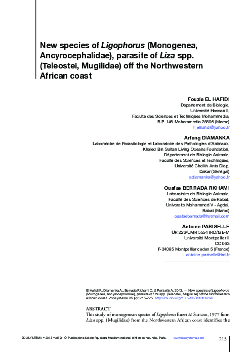(PDF) New species of Ligophorus (Monogenea, Ancyrocephalidae), parasite ...