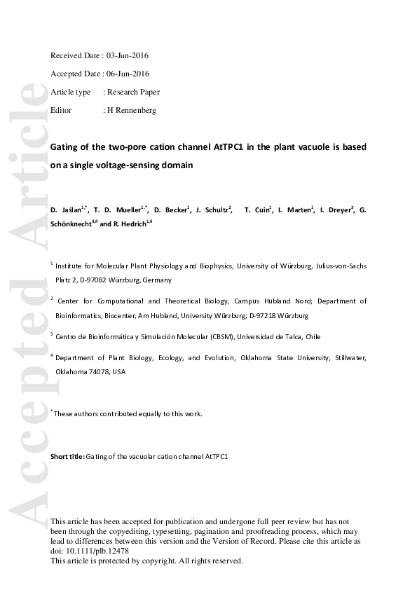 (PDF) Gating of the two-pore cation channel AtTPC1 in the plant vacuole ...