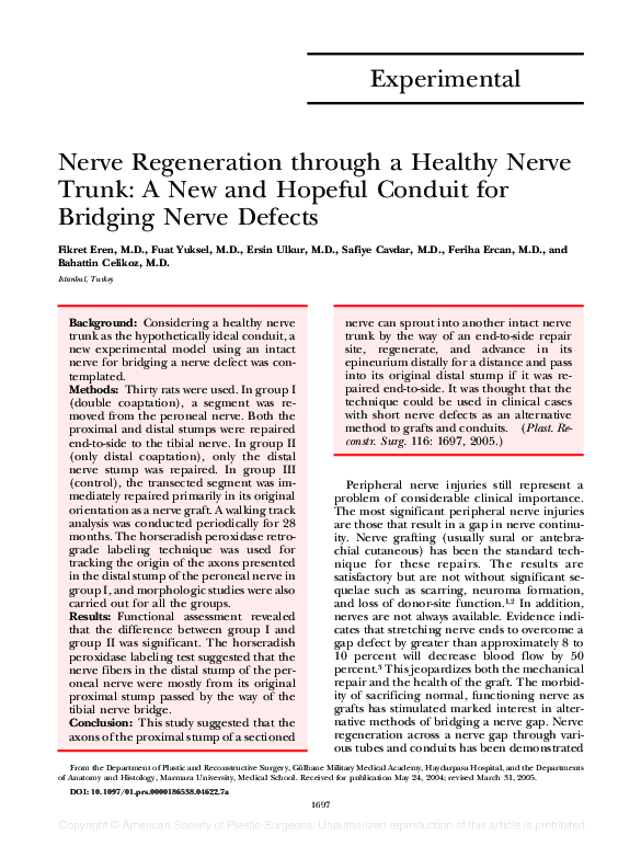 (PDF) Nerve Regeneration through a Healthy Nerve Trunk: A New and ...