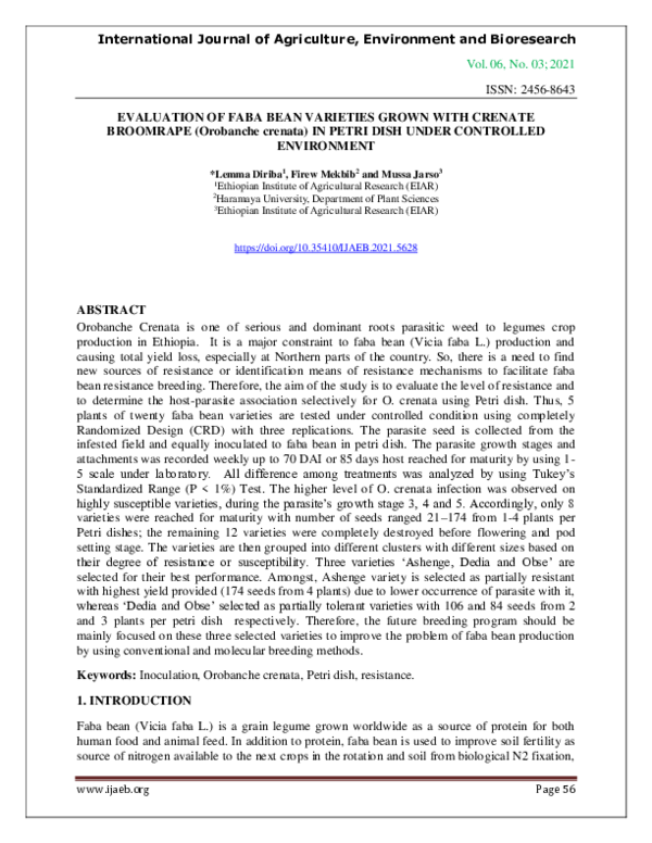 (PDF) EVALUATION OF FABA BEAN VARIETIES GROWN WITH CRENATE BROOMRAPE (Orobanche crenata) IN ...