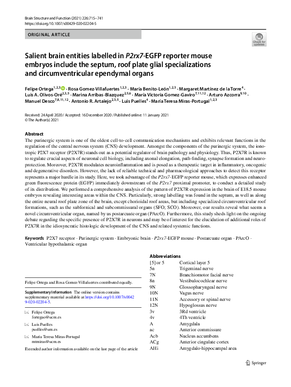 (PDF) Salient brain entities labelled in P2rx7-EGFP reporter mouse ...