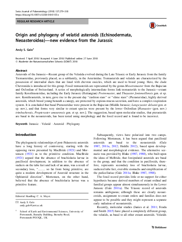 (PDF) Origin and phylogeny of velatid asteroids (Echinodermata ...