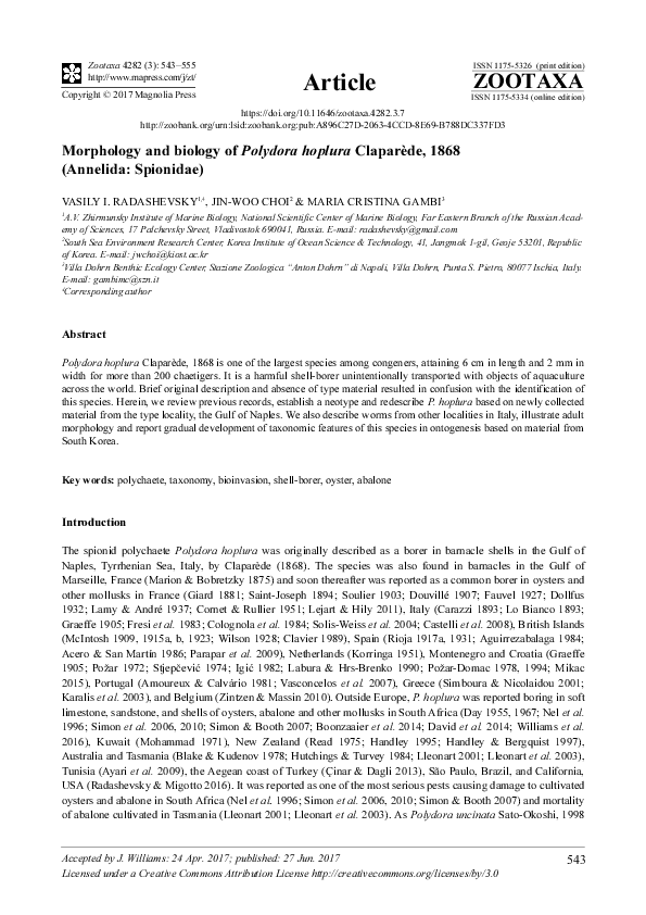 (PDF) Morphology and biology of Polydora hoplura Claparède, 1868 ...