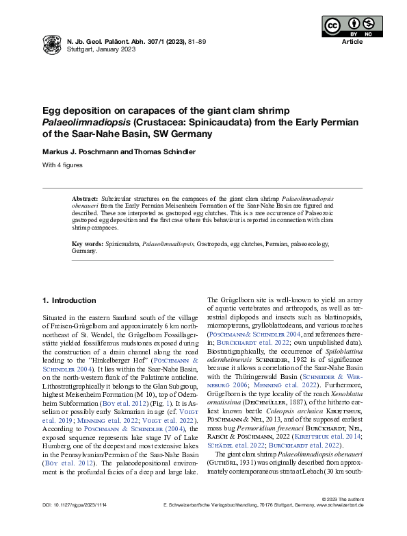 (PDF) Egg deposition on carapaces of the giant clam shrimp ...