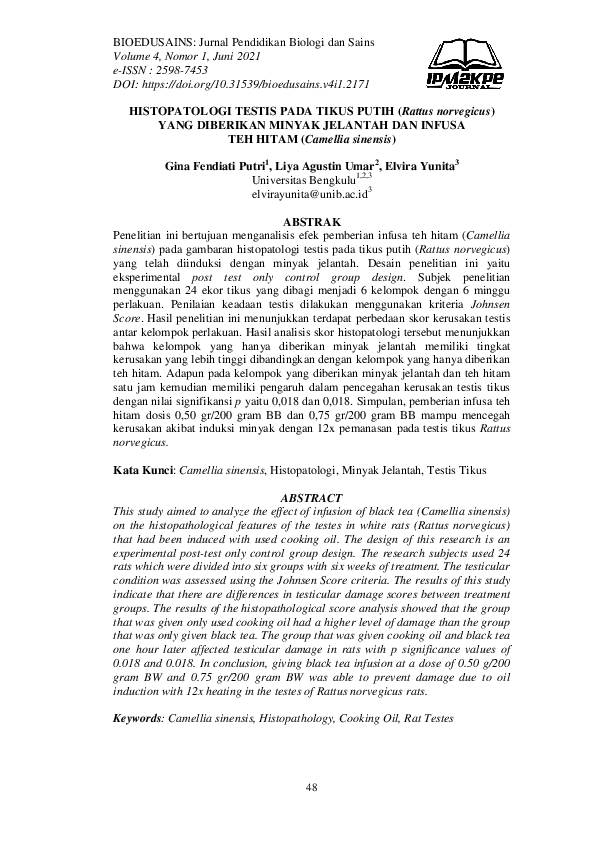 (PDF) Histopatologi Testis pada Tikus Putih (Rattus norvegicus) yang ...