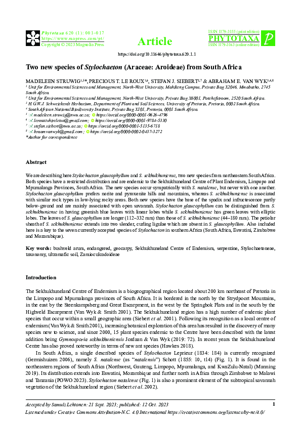 (PDF) Two new species of Stylochaeton (Araceae: Aroideae) from South Africa