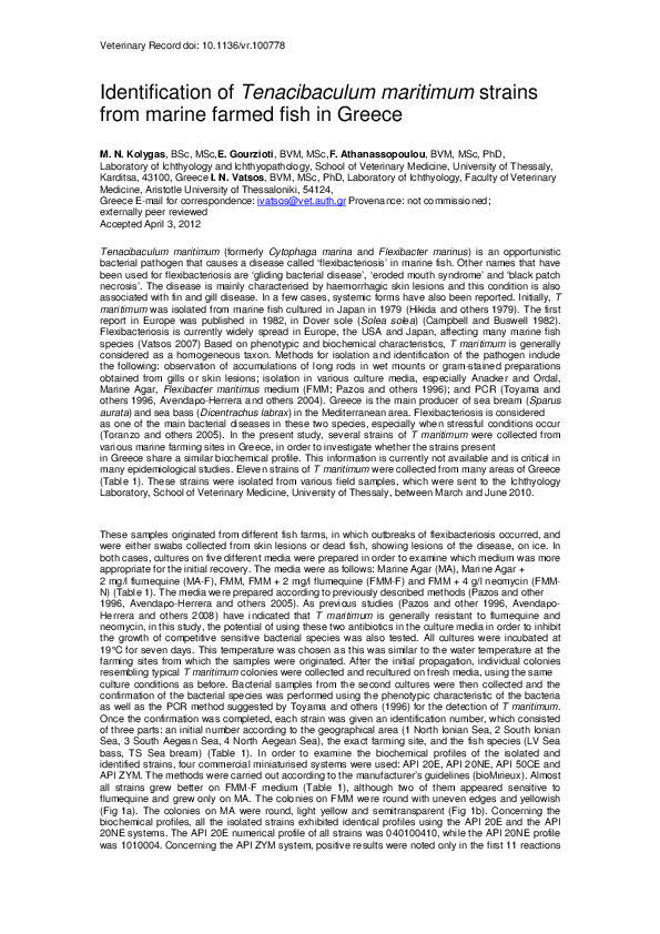 (PDF) Identification of Tenacibaculum maritimum strains from marine ...
