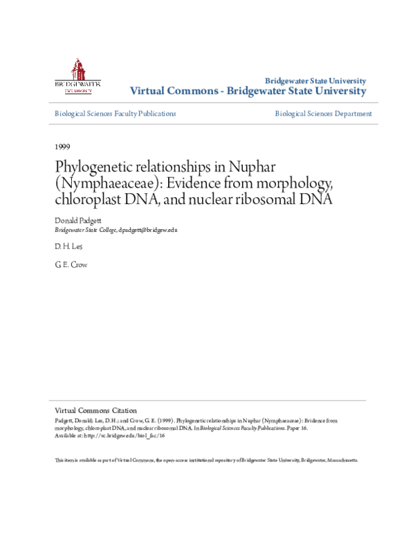 (PDF) Phylogenetic relationships in Nuphar (Nymphaeaceae): evidence ...