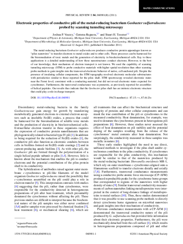 (PDF) Electronic properties of conductive pili of the metal-reducing ...
