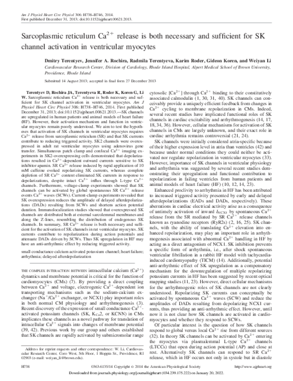 (PDF) ficient for SK channel activation in ventricular myocytes. Am J