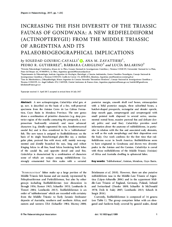 (PDF) Increasing the fish diversity of the Triassic faunas of Gondwana ...