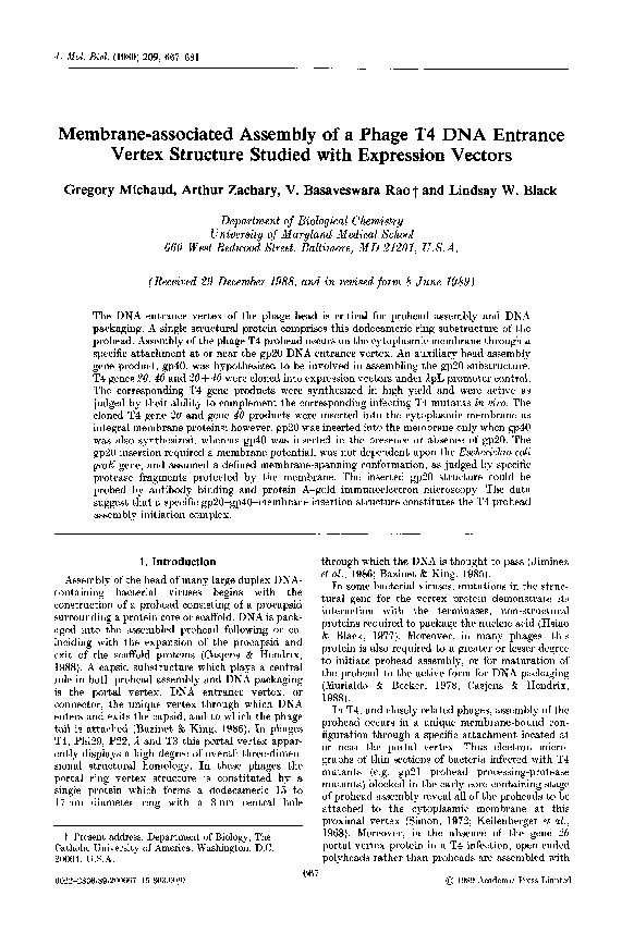 (PDF) Membrane-associated assembly of a phage T4 DNA entrance vertex ...