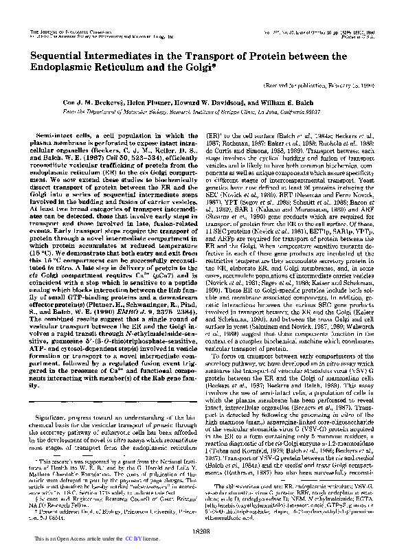 (PDF) Sequential intermediates in the transport of protein between the ...