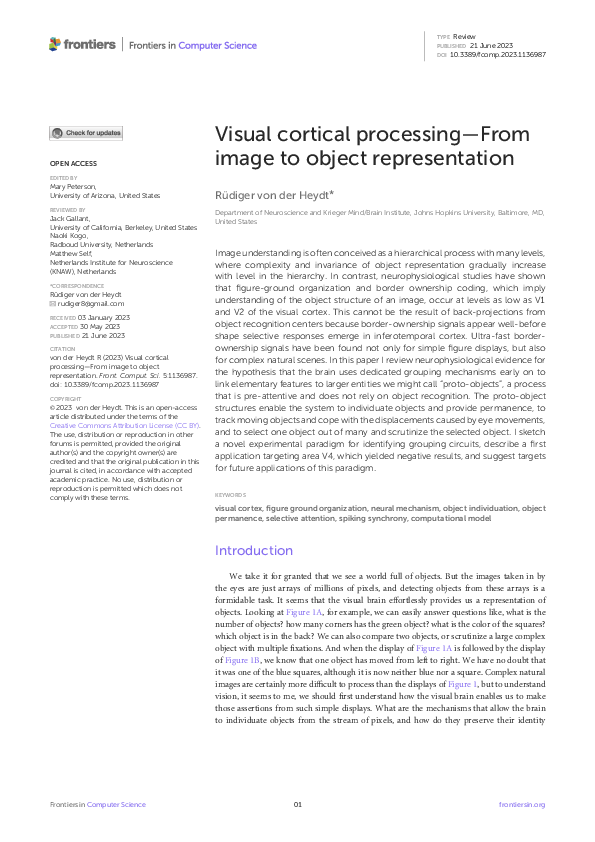 Pdf Visual Cortical Processing From Image To Object Representation 9433