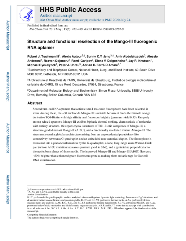 (PDF) Structure and functional reselection of the Mango-III fluorogenic ...