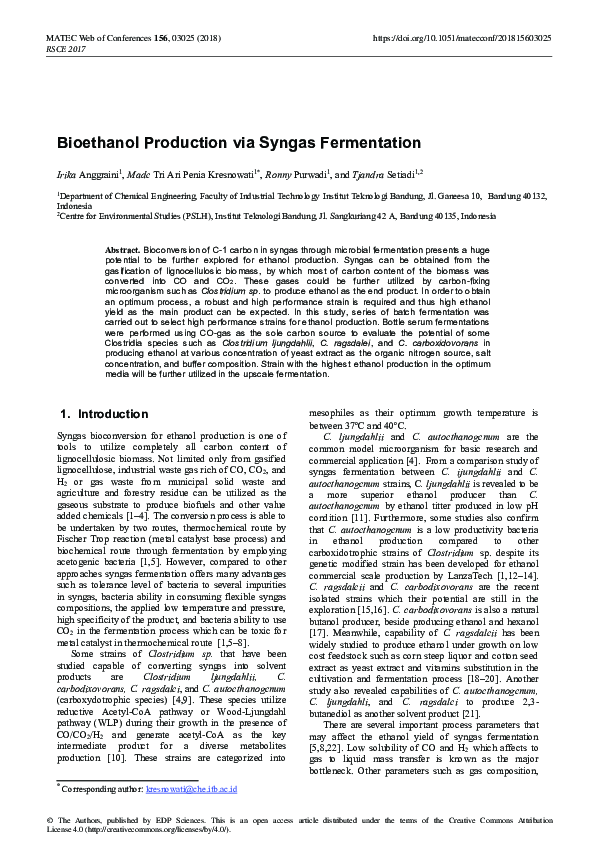 (PDF) Bioethanol Production via Syngas Fermentation