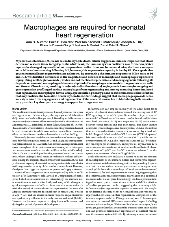 (PDF) Macrophages are required for neonatal heart regeneration