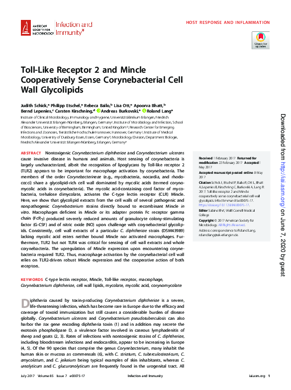 (PDF) Toll-Like Receptor 2 and Mincle Cooperatively Sense ...