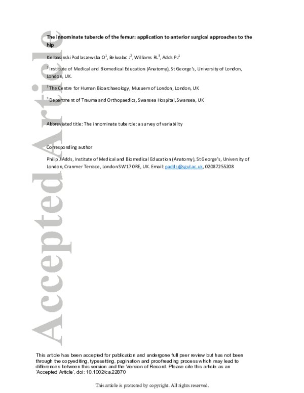 (PDF) The innominate tubercle of the femur: Application to anterior ...