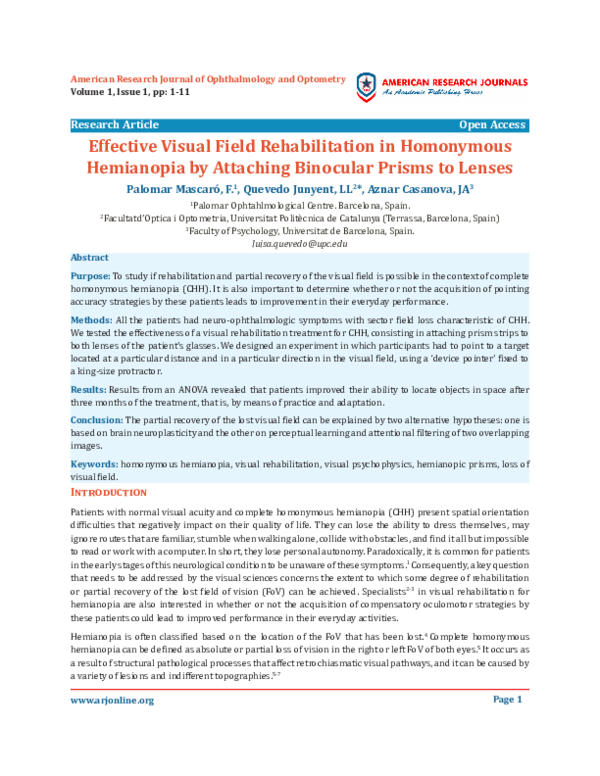 (PDF) Effective Visual Field Rehabilitation in Homonymous Hemianopia by ...