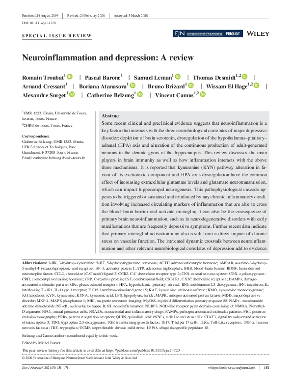 (PDF) Neuroinflammation and depression: A review