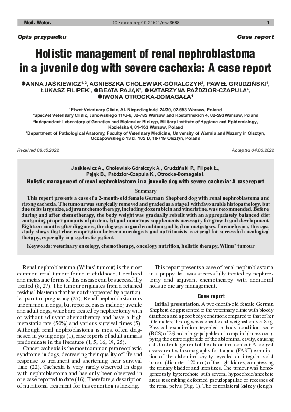 (PDF) Holistic management of renal nephroblastoma in a juvenile dog ...