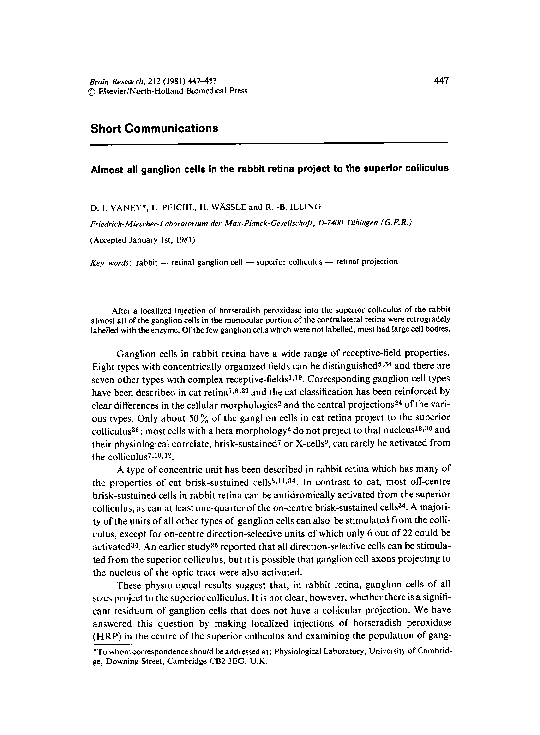 (PDF) Almost all ganglion cells in the rabbit retina project to the ...