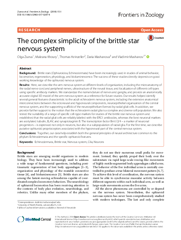 (PDF) The Complex Simplicity of the Brittle Star Nervous System | Thomas Heinzeller - Academia.edu