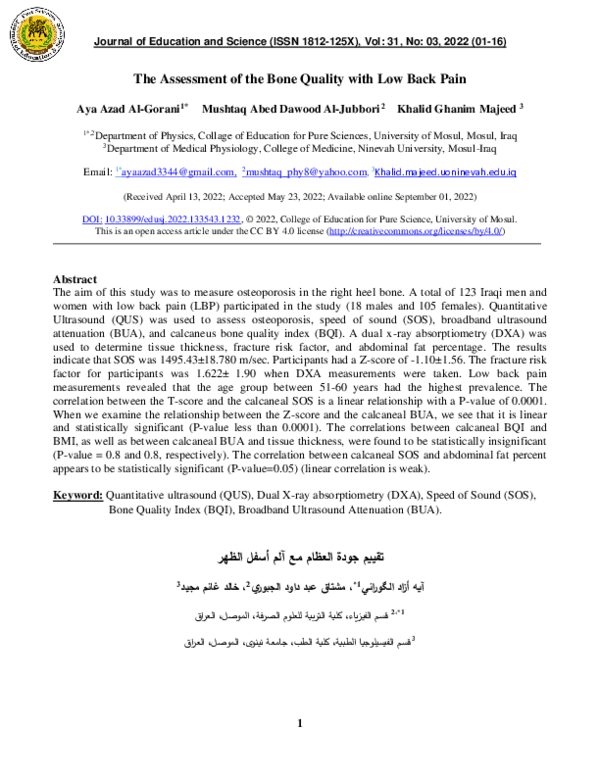 (PDF) The Assessment of the Bone Quality with Low Back Pain