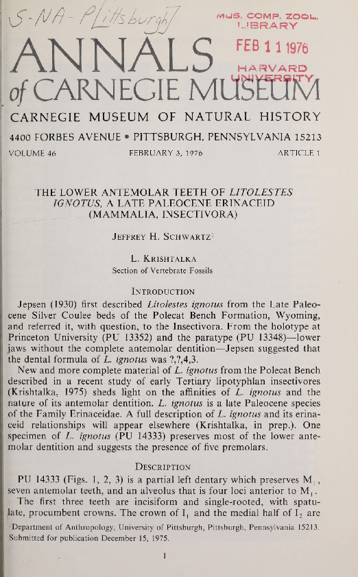 (PDF) The lower antemolar teeth of Litolestes ignotus, a Late Paleocene ...