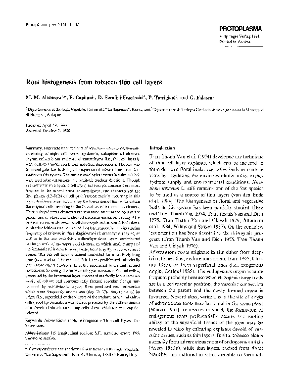 (PDF) Root histogenesis from tobacco thin cell layers
