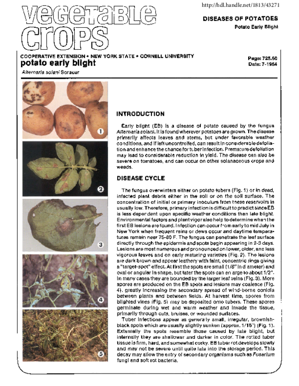 (PDF) Potato Early Blight