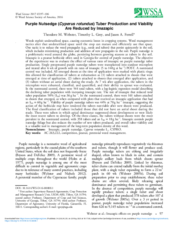 (PDF) Purple Nutsedge ( Cyperus rotundus ) Tuber Production and ...