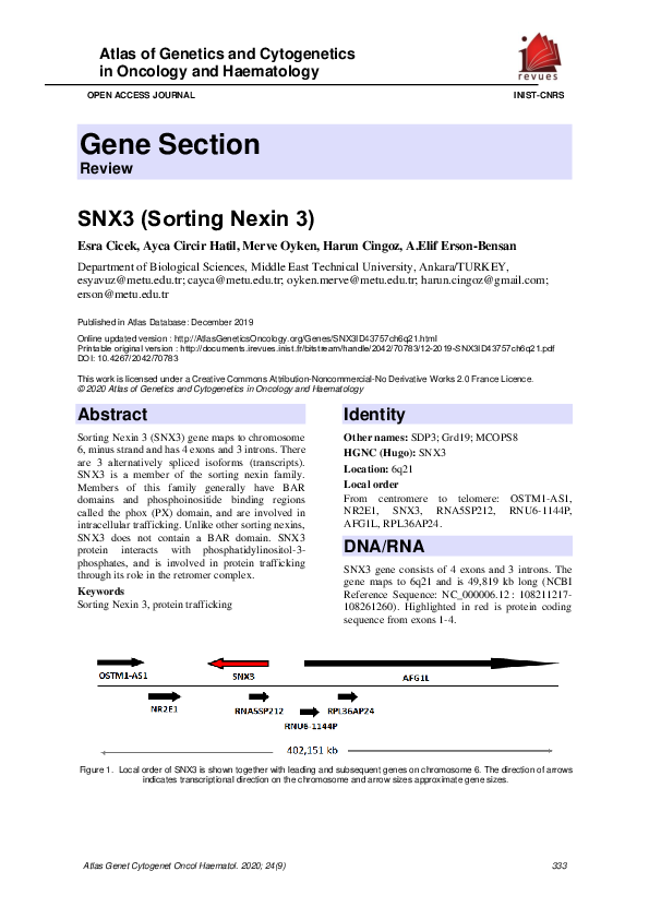 (PDF) SNX3 (Sorting Nexin 3)