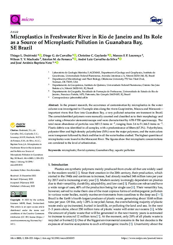 (PDF) Microplastics in Freshwater River in Rio de Janeiro and Its Role ...
