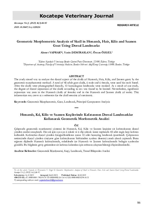 (PDF) Geometric Morphometric Analysis of Skull in Honamli, Hair, Kilis ...
