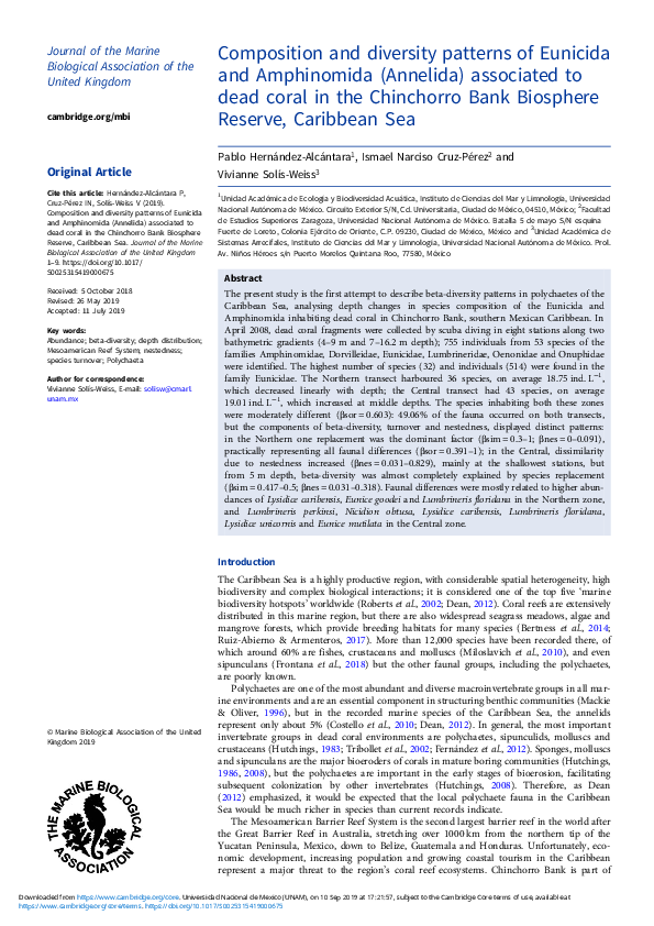 (PDF) Composition and diversity patterns of Eunicida and Amphinomida ...