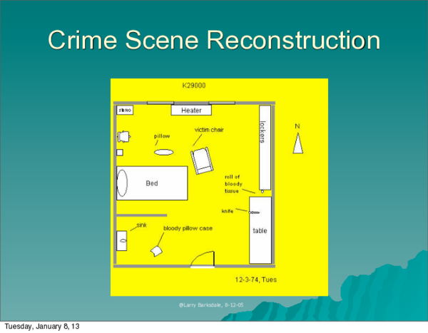 (PDF) Crime Scene Reconstruction