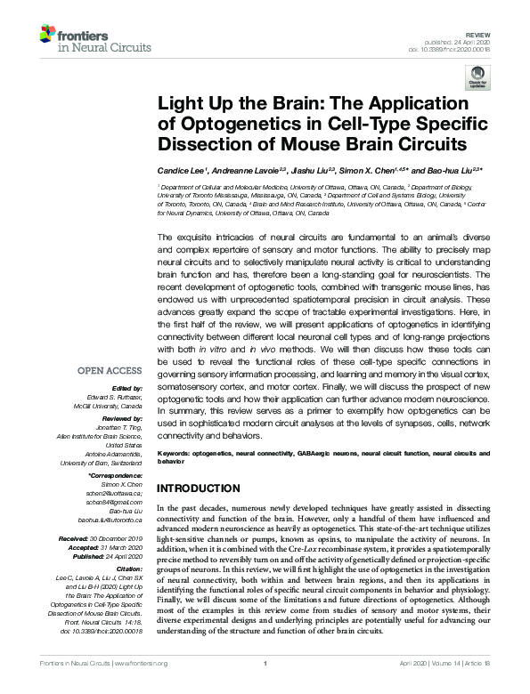 (PDF) Light Up the Brain: The Application of Optogenetics in Cell-Type ...