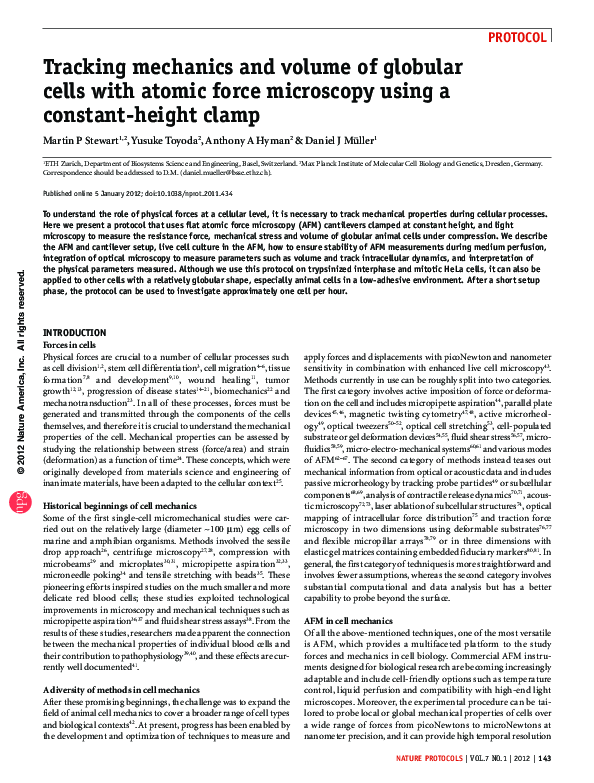 (PDF) Tracking mechanics and volume of globular cells with atomic force ...