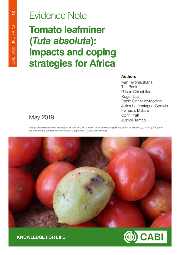 (PDF) Evidence Note Tomato leafminer (Tuta absoluta): Impacts and coping strategies for Africa