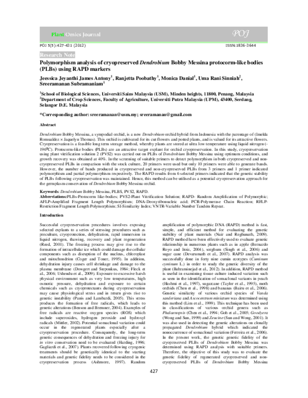 (PDF) Polymorphism analysis of cryopreserved Dendrobium Bobby Messina ...