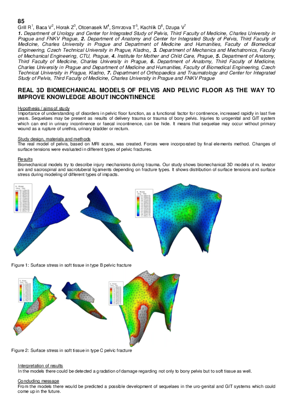 (PDF) Real 3D biomechanical models of pelvis and pelvic floor as the ...