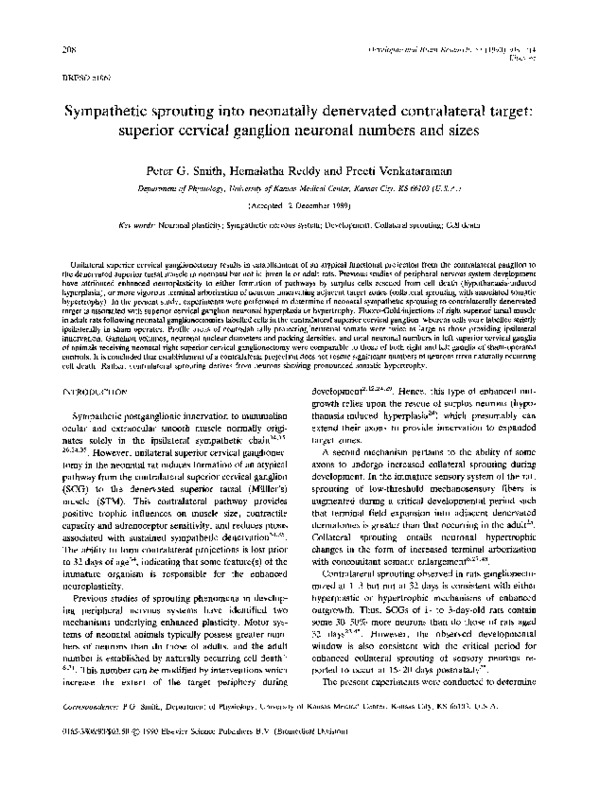 (PDF) Sympathetic sprouting into neonatally denervated contralateral ...