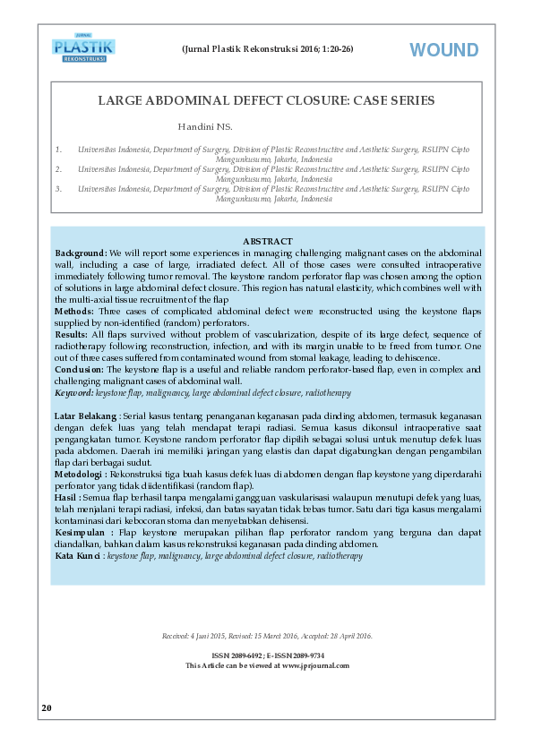 (PDF) Large Abdominal Defect Closure: Case Series