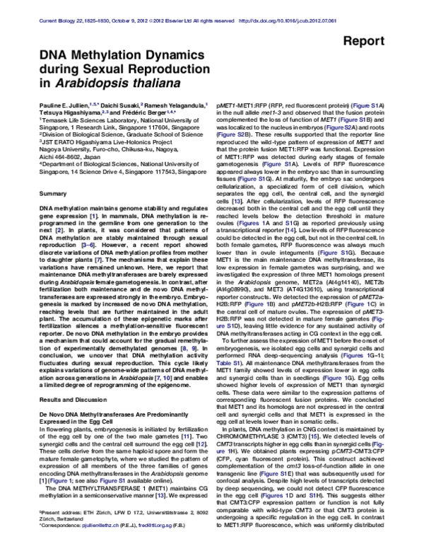 (PDF) DNA Methylation Dynamics during Sexual Reproduction in Arabidopsis thaliana | frederic ...