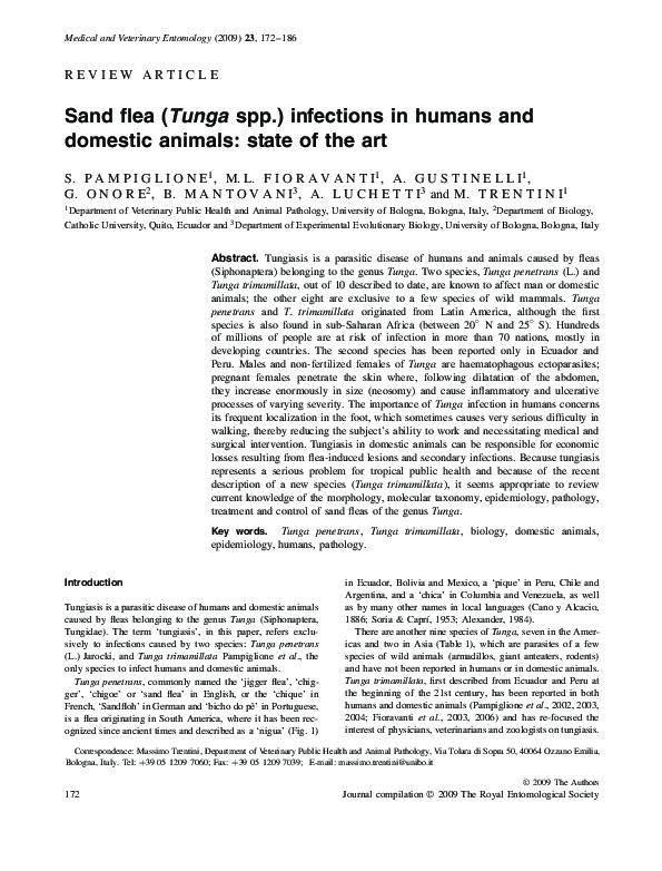 (PDF) Sand flea (Tunga spp.) infections in humans and domestic animals ...