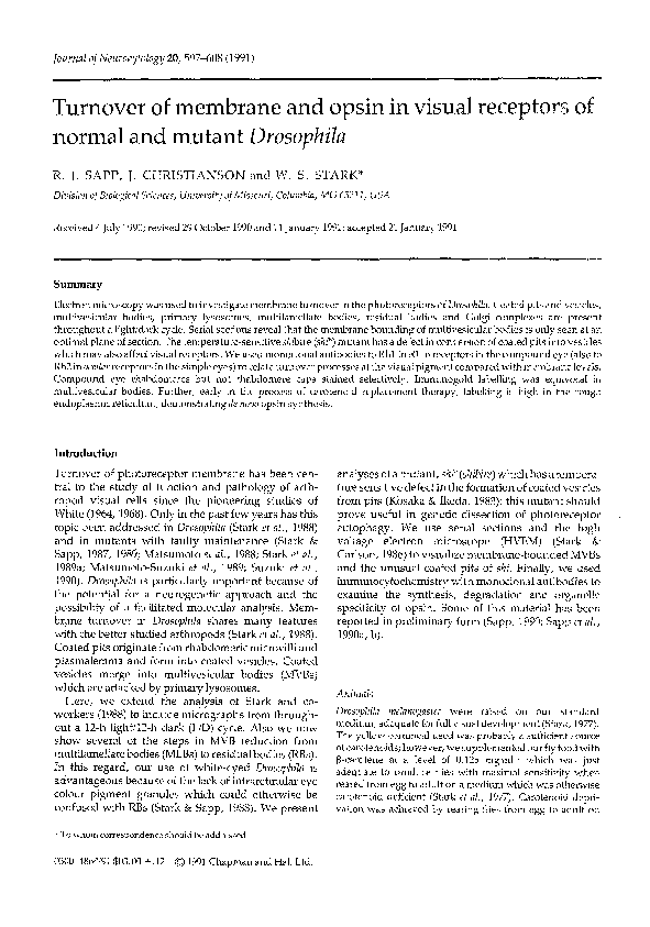 (PDF) Turnover of membrane and opsin in visual receptors of normal and ...